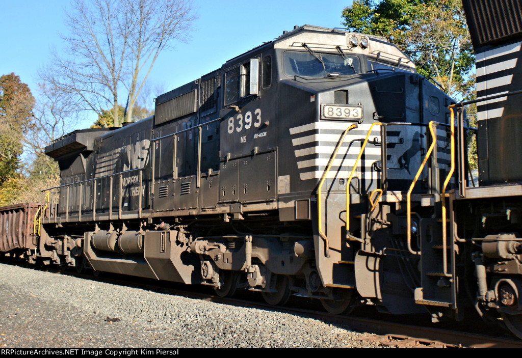 NS 8393